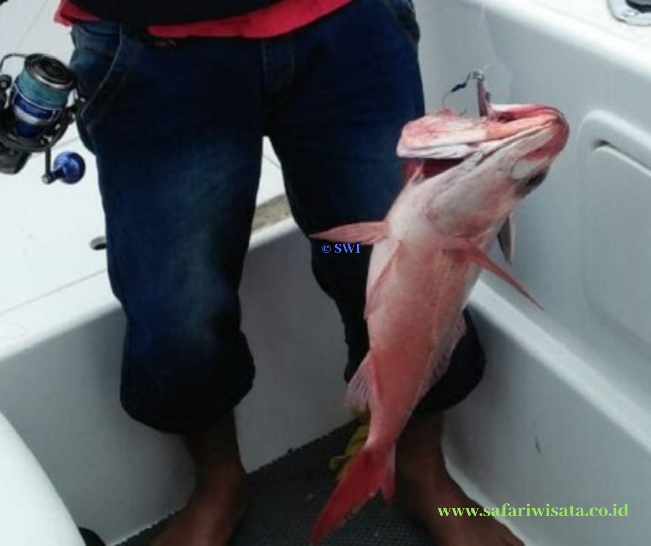 Diving & Mancing di Pulau Rondo Sabang Pulau Weh Aceh - Safari Wisata ...