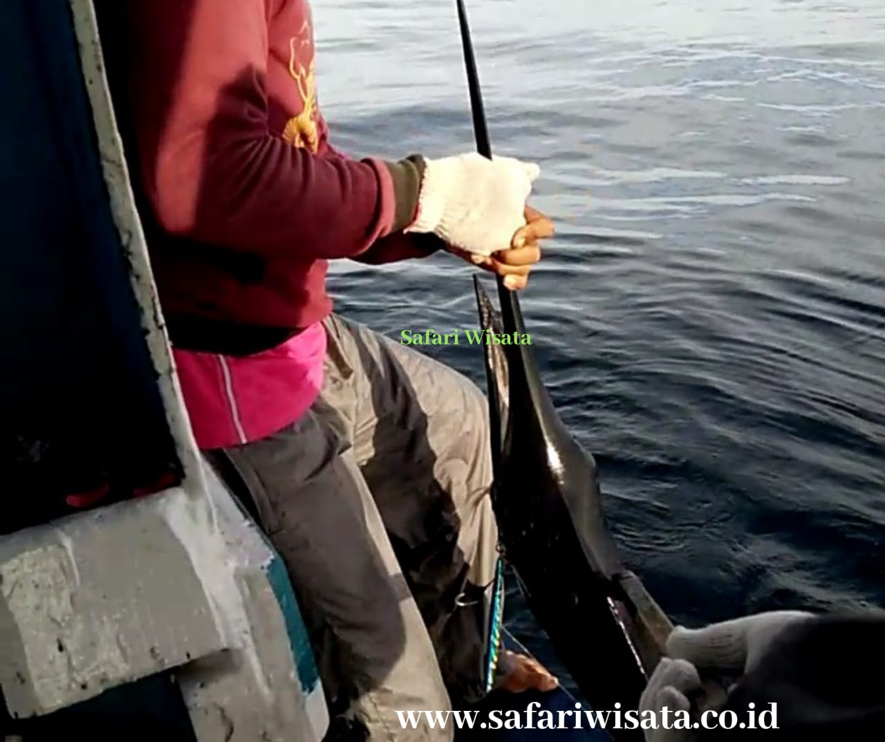 12 Ikan target mancing mania di Aceh Indonesia – Laut Lepas & Air Tawar ...