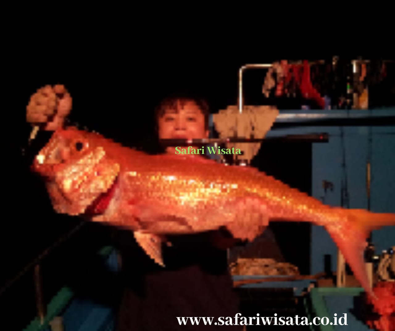 12 Ikan target mancing mania di Aceh Indonesia – Laut Lepas & Air Tawar ...