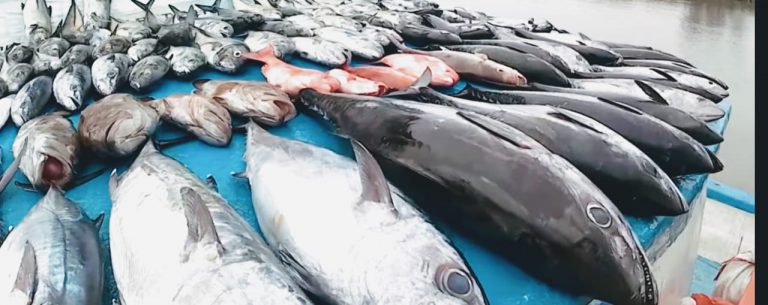 25 Spot Mancing di Indonesia Terbaik – Tempat & Lokasi Trip Mancing ...