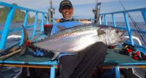 25 Spot Mancing di Indonesia Terbaik – Tempat & Lokasi Trip Mancing ...