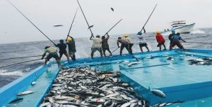 25 Spot Mancing di Indonesia Terbaik – Tempat & Lokasi Trip Mancing ...