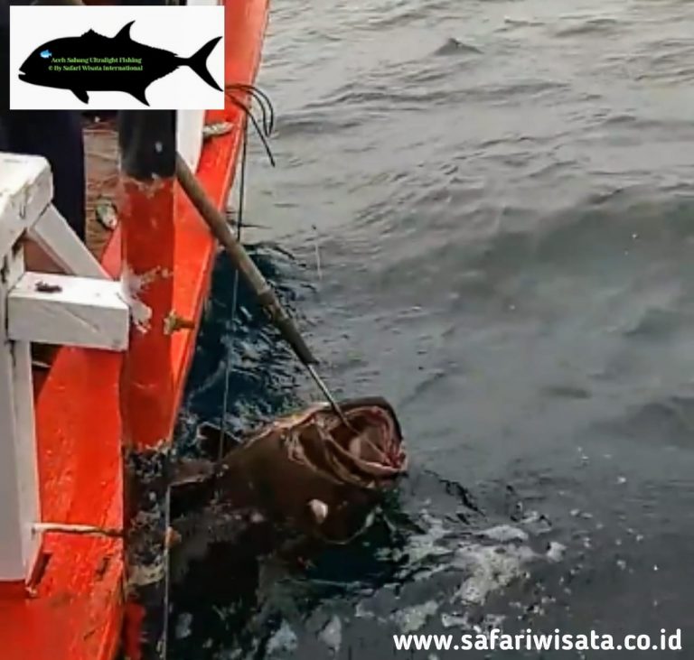 Teknik Mancing Dasaran: Mengenal Teknik Dasaran untuk memancing di laut ...