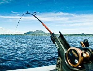 10 Teknik Mancing: Macam-macam teknik Mancing mulai dari Dasaran hingga ...