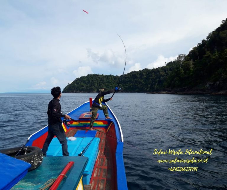 10 Teknik Mancing: Macam-macam teknik Mancing mulai dari Dasaran hingga ...