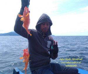 10 Teknik Mancing: Macam-macam teknik Mancing mulai dari Dasaran hingga ...