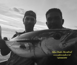 Teknik Mancing Jigging: Mengenal Teknik Jigging dari Slow Pitch sampai ...
