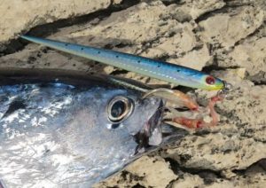 Teknik Mancing Jigging: Mengenal Teknik Jigging dari Slow Pitch sampai ...