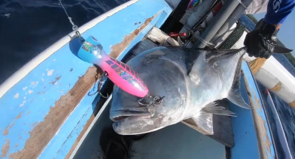 Spot Mancing di Bali Indonesia Terbaik | Trip & Paket Memancing di Bali ...