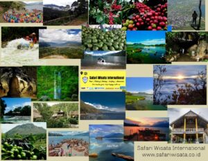 Paket wisata Takengon (Aceh Tengah) – Tour Dataran Tinggi Gayo 5 Hari 4 ...