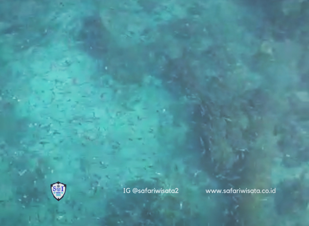 Pantai Pulau Rubiah Sabang: Dua Pantai Indah yang ada di Pulau Rubiah ...