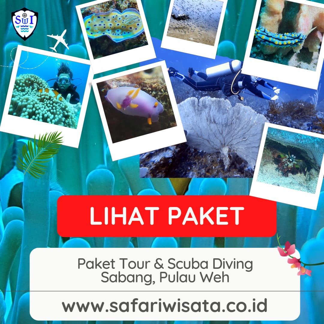 Biaya Nyebrang ke Sabang dari Banda Aceh: Jadwal, Harga Tiket Kapal Cepat & Lambat, Tarif Bawa ...