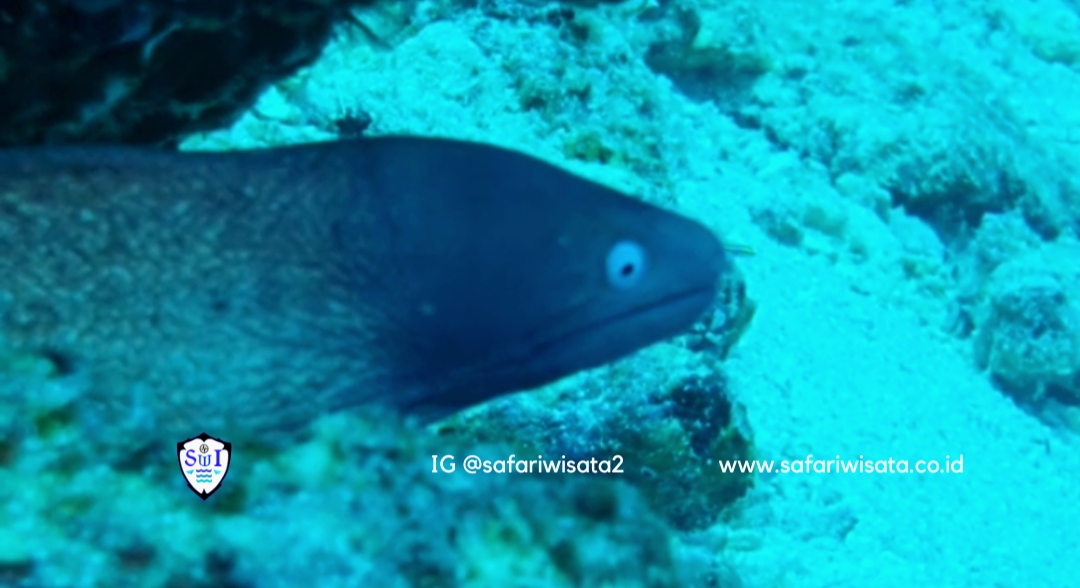 Pantai Pulau Rubiah Sabang: Dua Pantai Indah yang ada di Pulau Rubiah ...