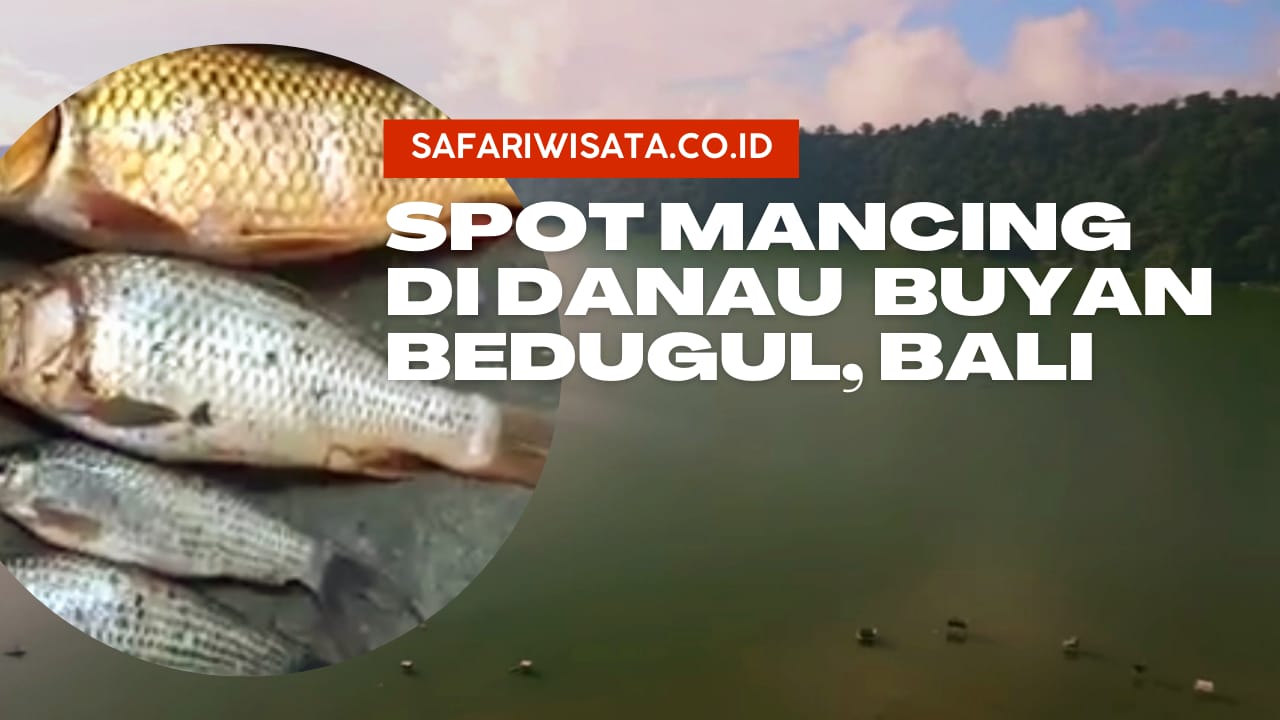 Spot Mancing di Danau Buyan Bali, Tempat & Umpan Mancing Jitu di Danau ...
